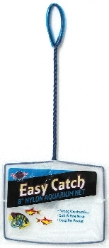 8 inch Net: KittenKaboodle.com