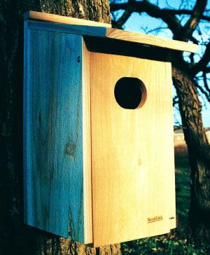 Wood Duck House: KittenKaboodle.com